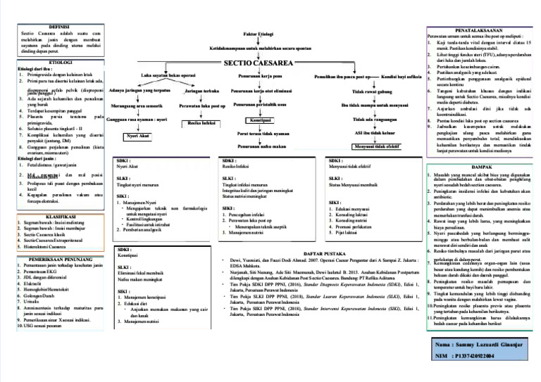 Woc Post Partum | PDF