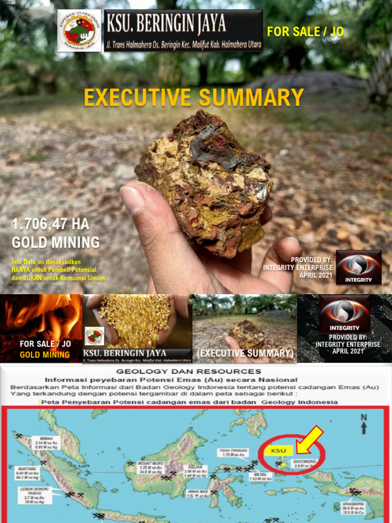 CV KSU BERINGIN JAYA Gold Mining Executive Summary INTEGRITY April 2021 | PDF