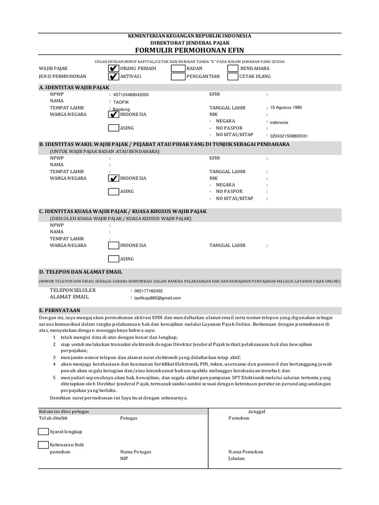 Form Permohonan EFIN (PDF Isian) | PDF