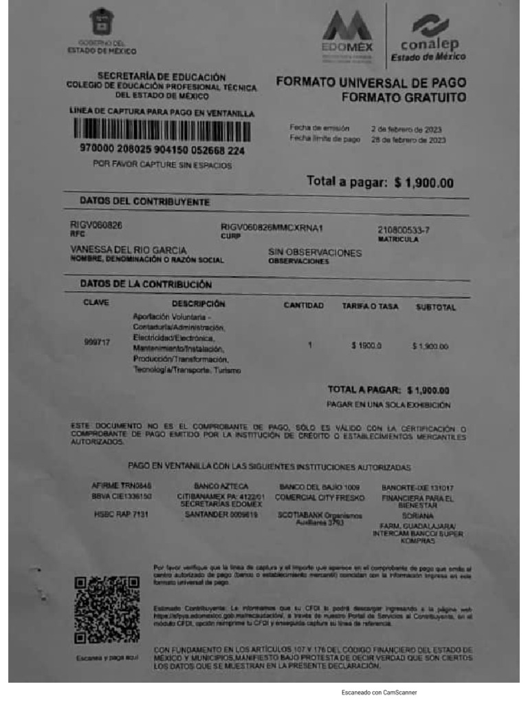 Formato de Pago Universal | PDF Formato de Pago Universal | PDF