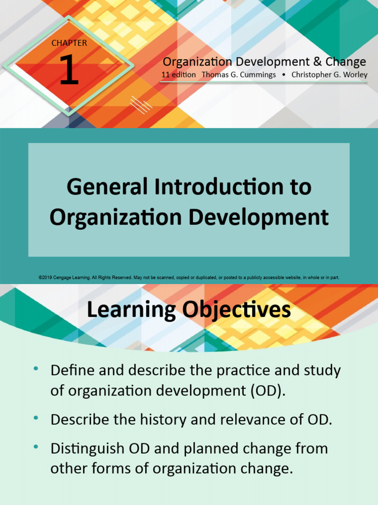 Chap 1 | PDF | Organization Development | Learning