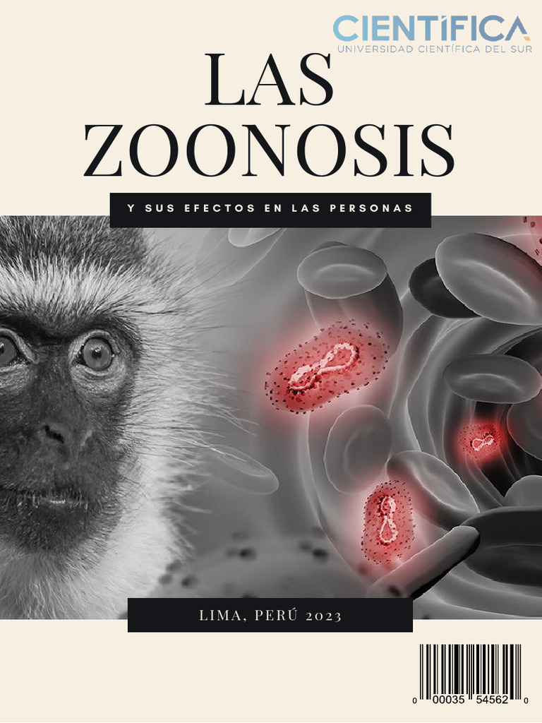 Revista - LC | PDF | Influenza | Alimentos
