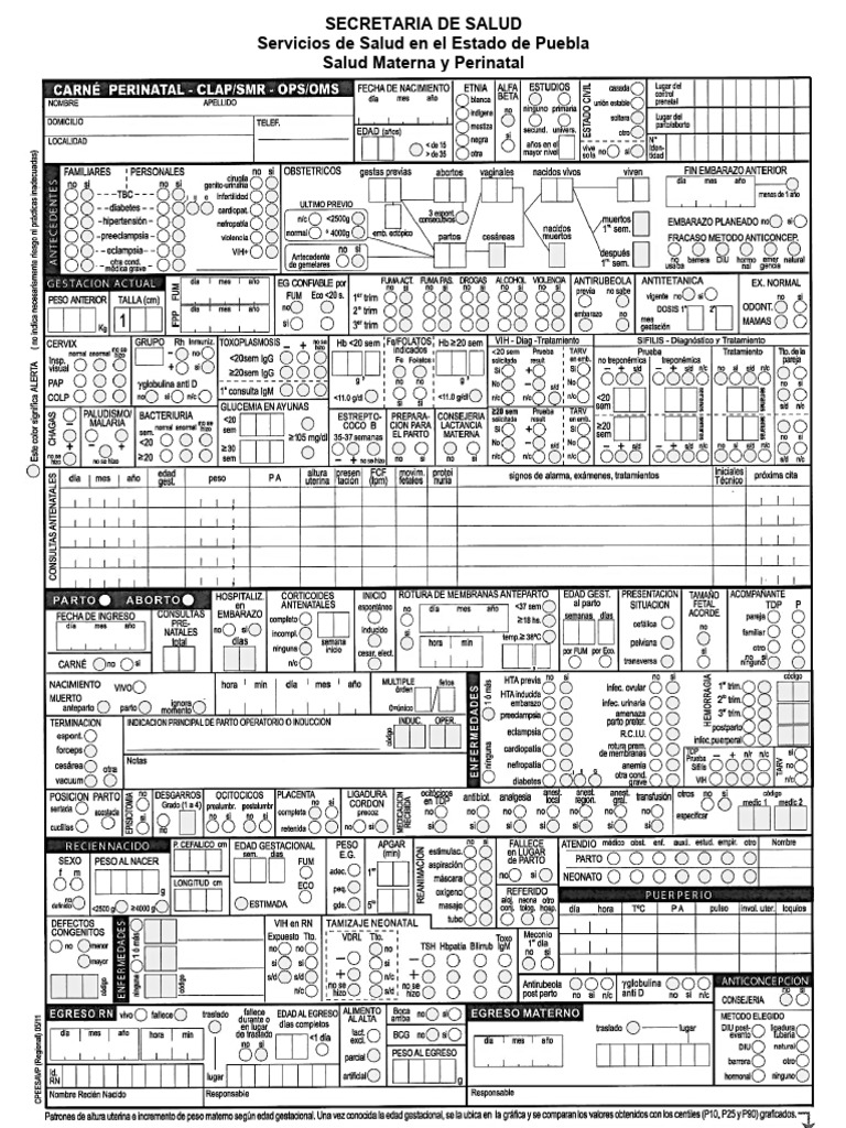 Carnet Perinatal | PDF