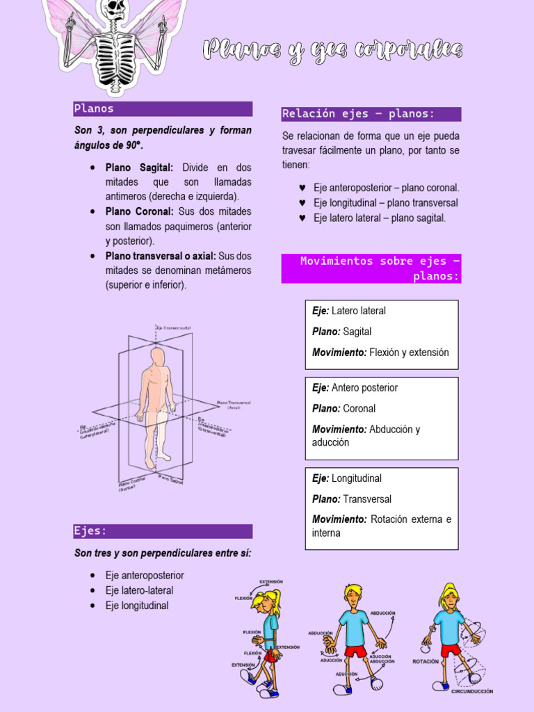 Planos y Ejes Corporales | PDF