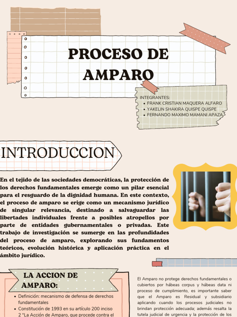 Proceso de Amparo: Frank Cristian Maquera Alfaro Yakelin Shakira Quispe ...