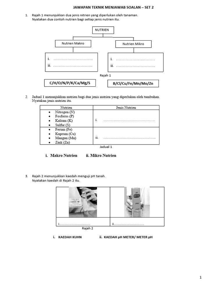 JAWAPAN TMS 2022 | PDF