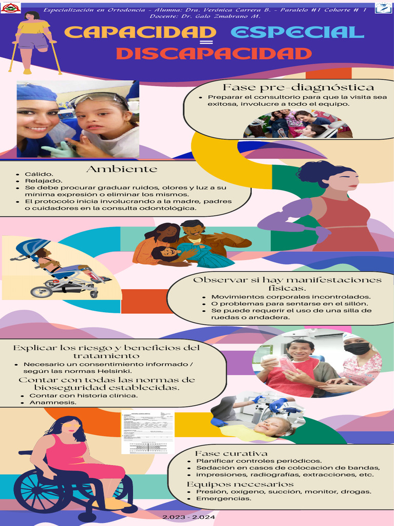 Infografia de Discapacidad | PDF