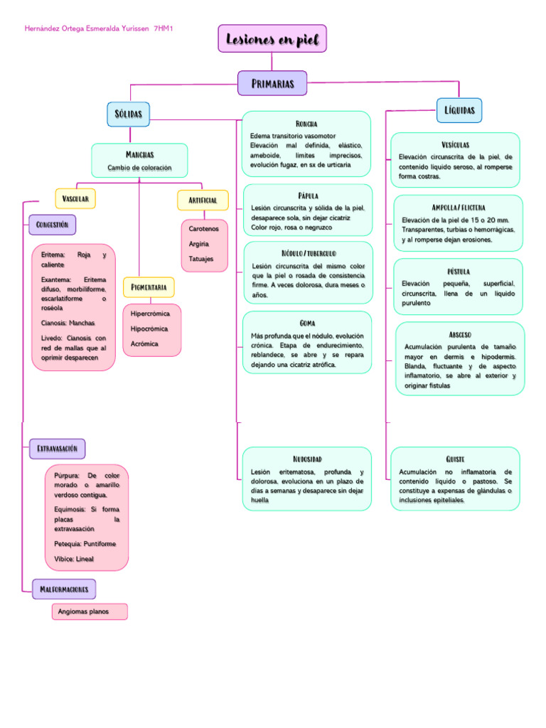 Tipos de lesiones en la piel | PDF | Piel | Epidermis