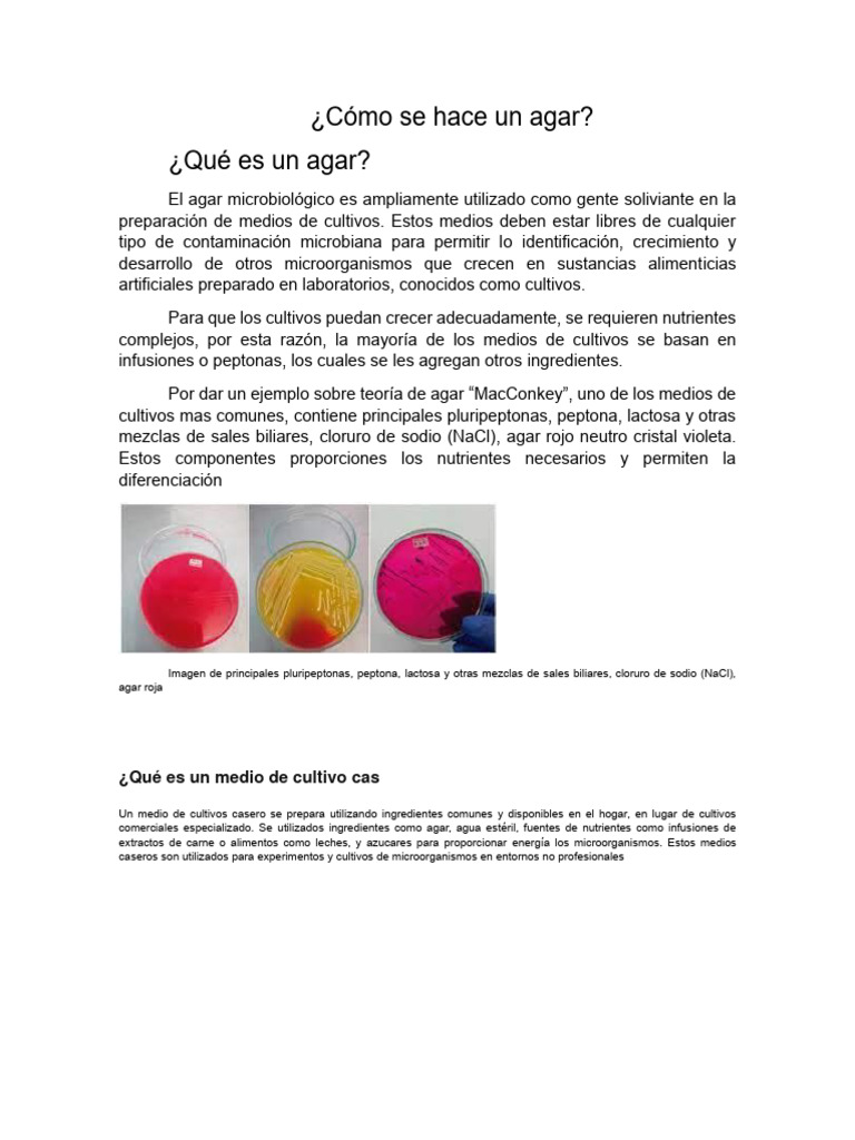 Cómo Se Hace Un Agar | PDF