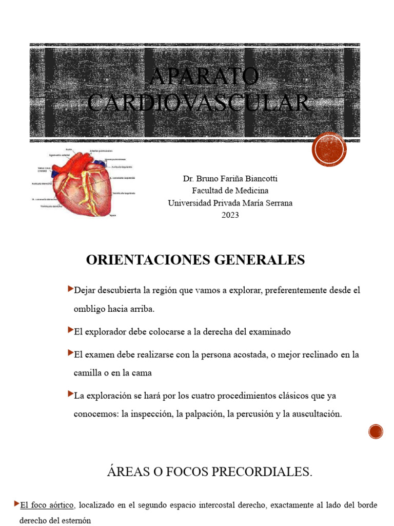 Aparato Cardiovascular y Abdomen | PDF | Corazón | Ventrículo (corazón)