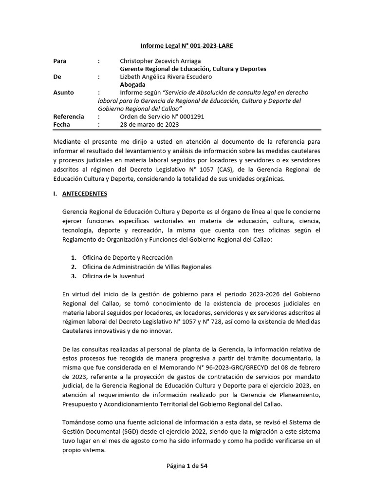 Informe Situacional Procesos Judiciales GRECYD | PDF | Mandato | Ley procesal