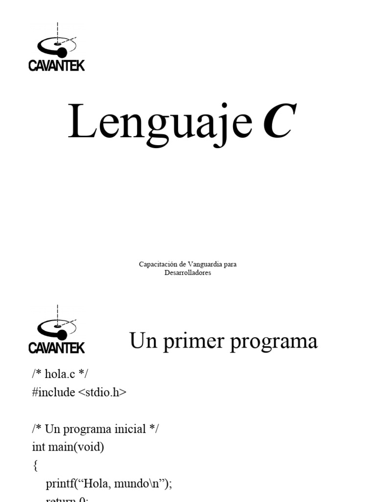 Lenguaje C | PDF | Lenguaje de programación | Parámetro (programación de computadora)