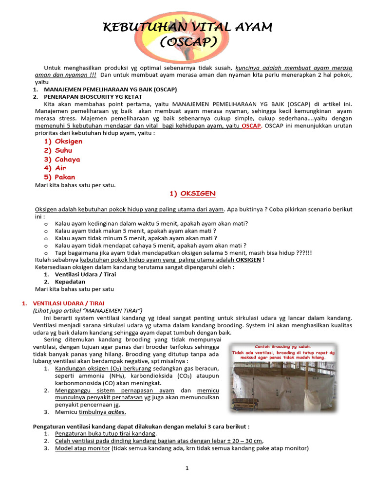 Oscap Kebutuhan Vital Ayam (Finish) | PDF | Kesehatan Holistik | Sains & Matematika