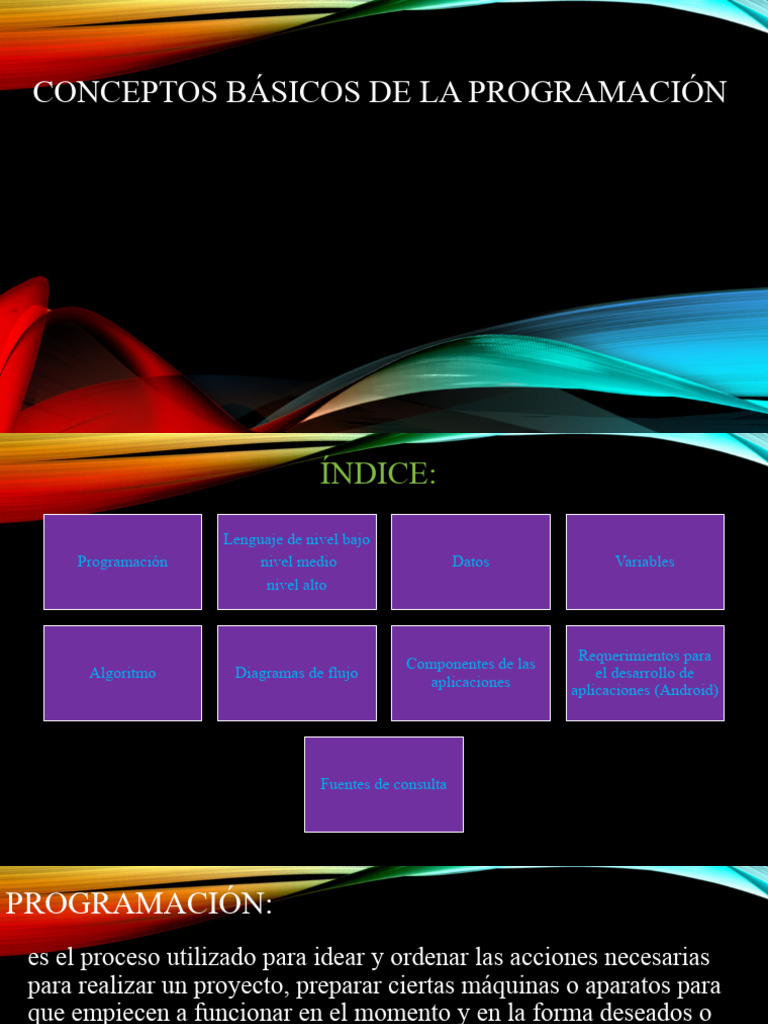 Conceptos Básicos de La Programación | PDF | Lenguaje de programación | Programación de computadoras