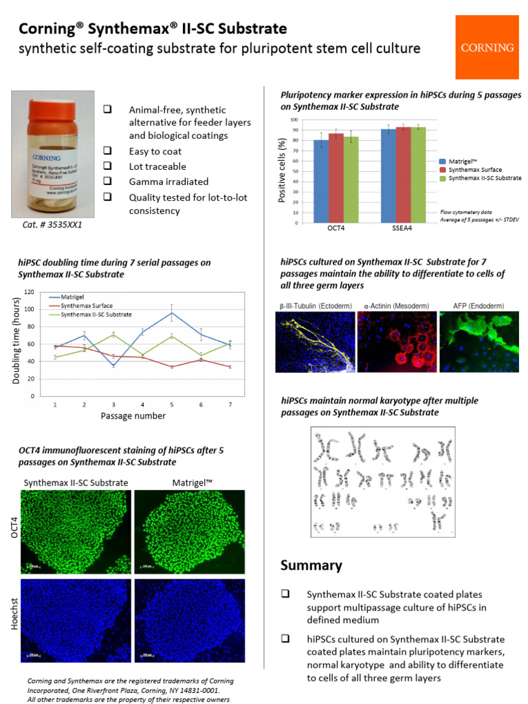 Poster Corning Synthemax Substrate | PDF | Change | Biotechnology