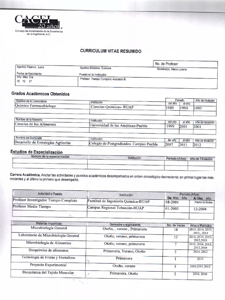 CV Luna Guevara 2020 | PDF