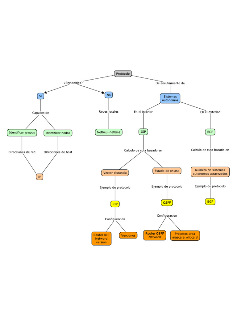 Mapa Conceptual Protocolo | PDF
