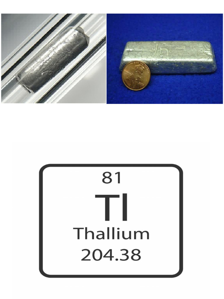 Familia El Boro | PDF