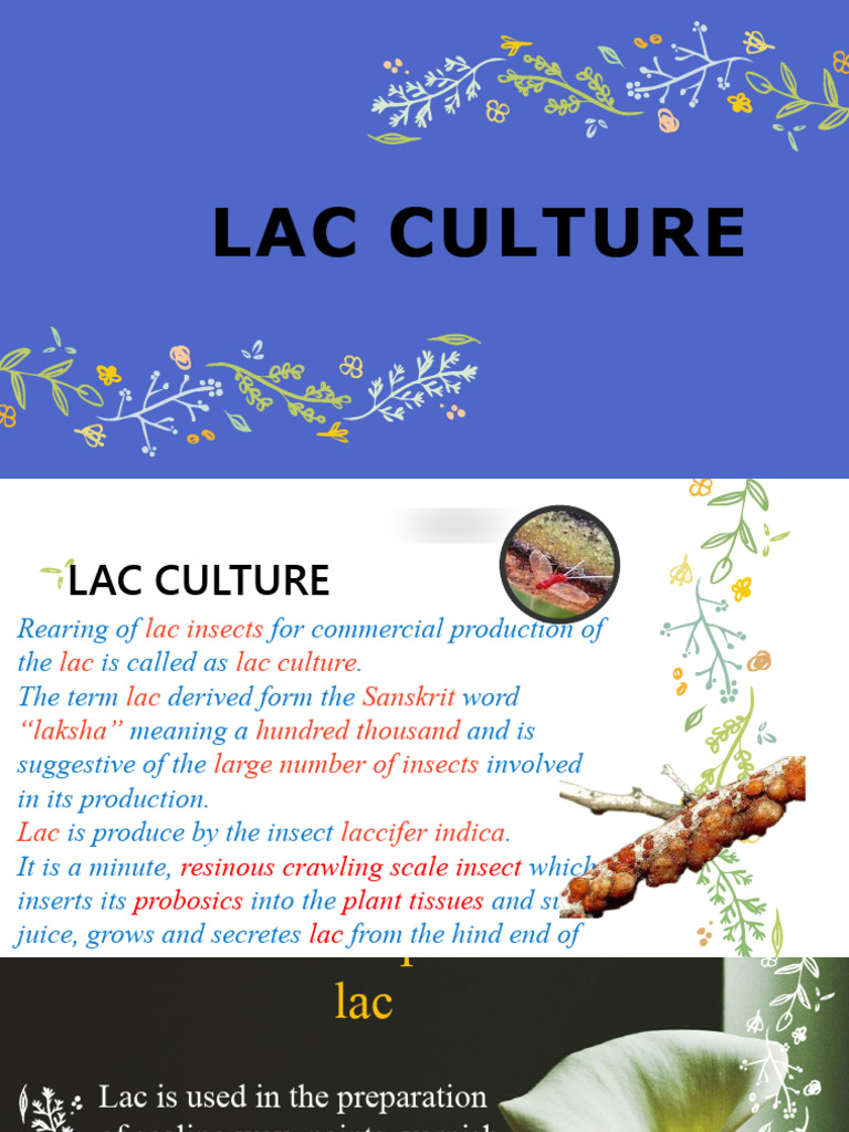 Lac Culture | PDF | Insects | Egg
