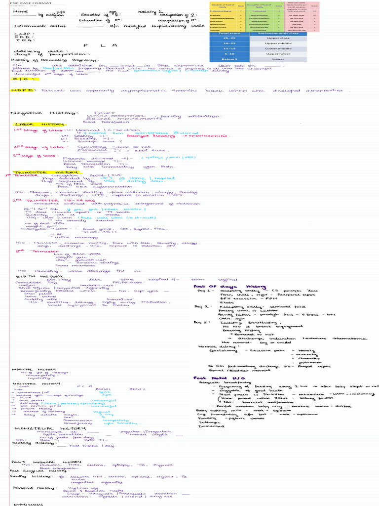 PNC Case Format | PDF