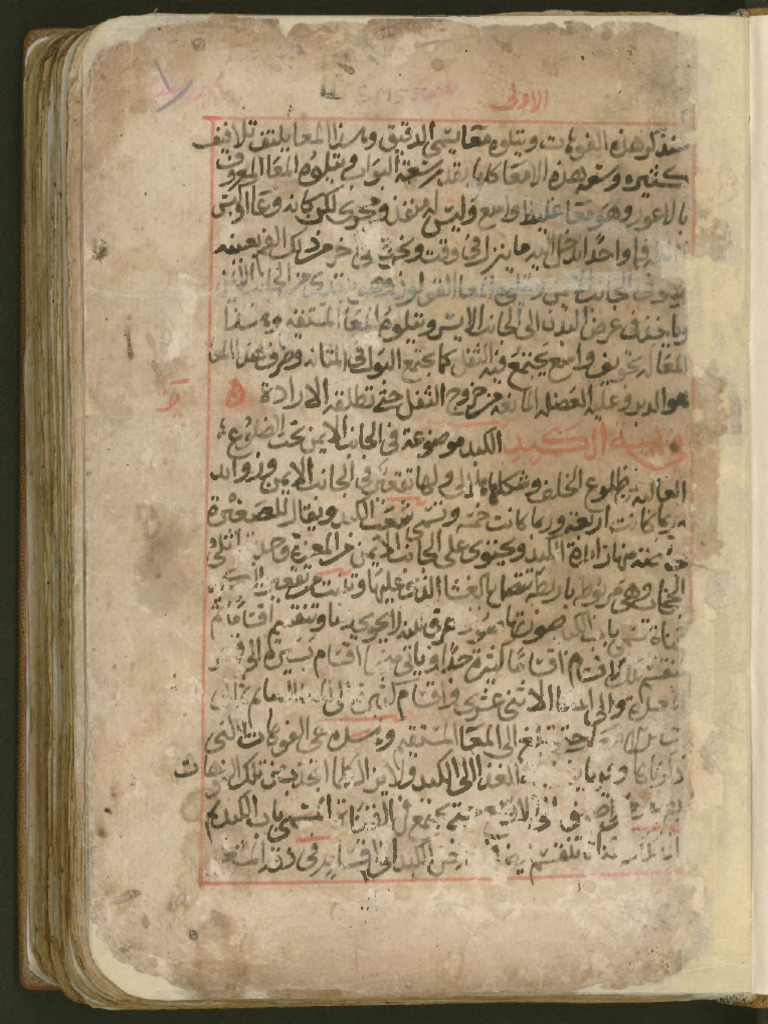 Kitab at Tibb Al Mansuri | PDF