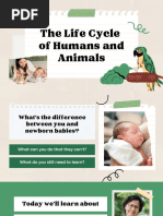 Human Life Cycle (Worksheet) | PDF
