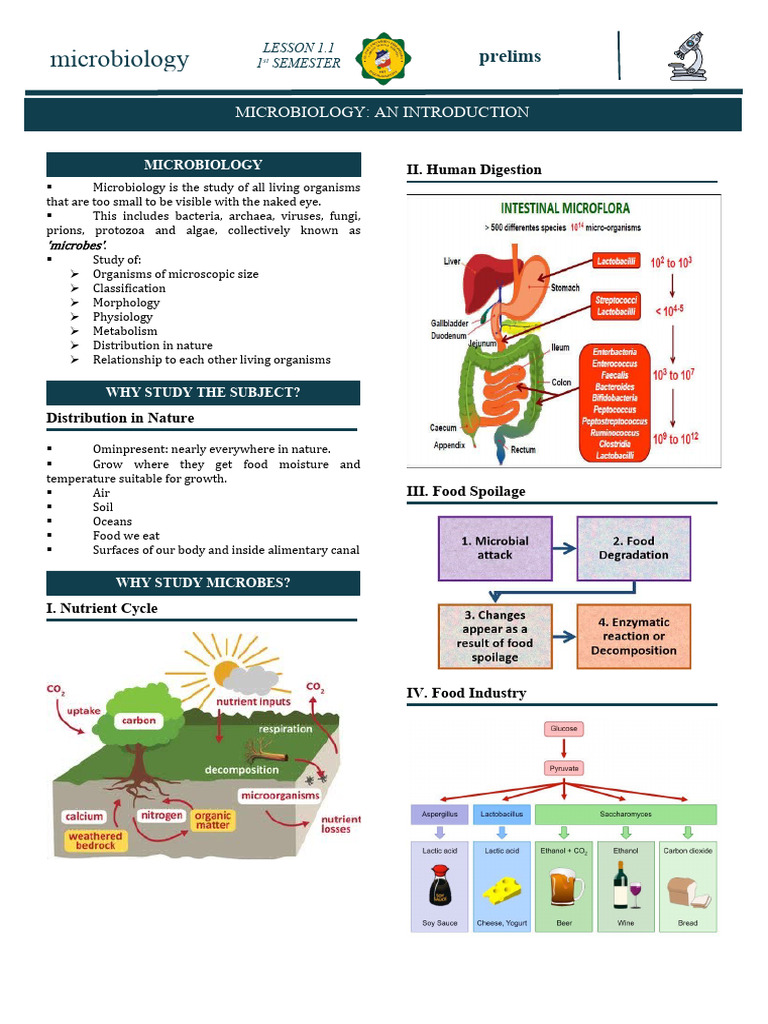 LESSON 1.1 Intro To Microbiology | PDF | Louis Pasteur | Microbiology