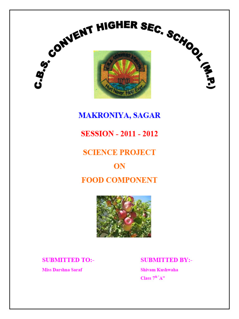 C.B.S CONVANT Shivam Kushwaha | PDF | Science & Mathematics