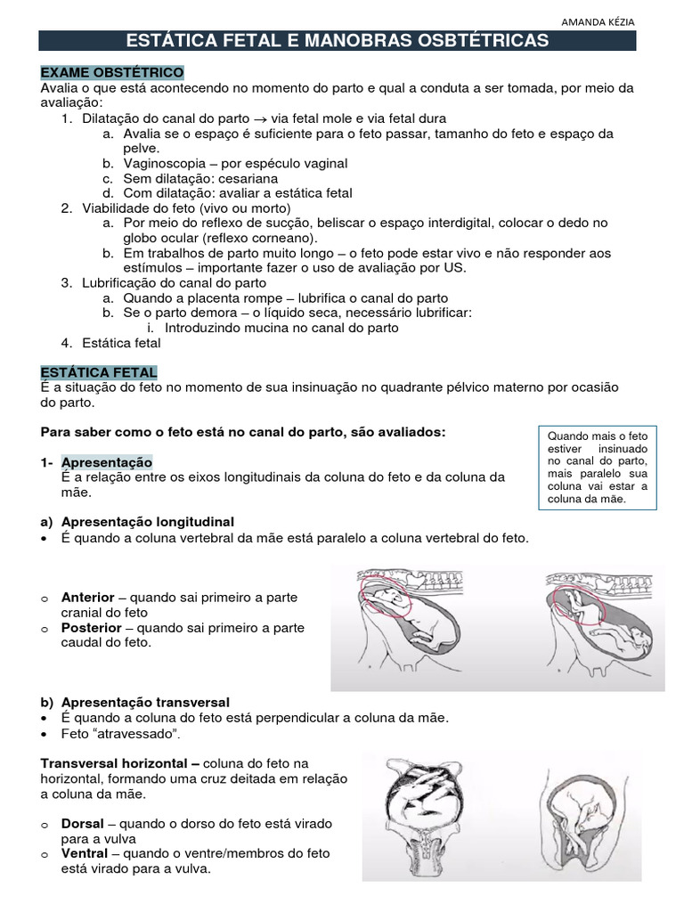 Manobras Osbtétricas | PDF | Parto | Especialidades médicas