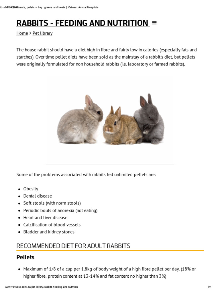 Feeding Your Rabbit - Diet Requirements, Pellets V Hay, Greens and ...