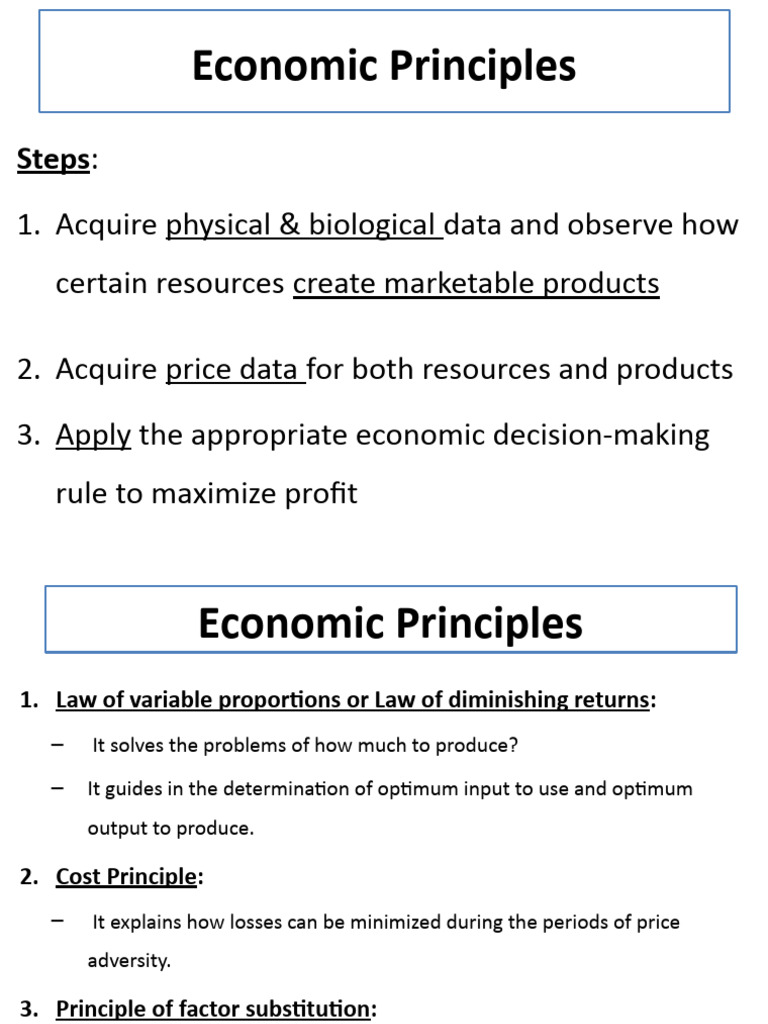 Tools of Decision Making1 | PDF | Production Function | Business Process