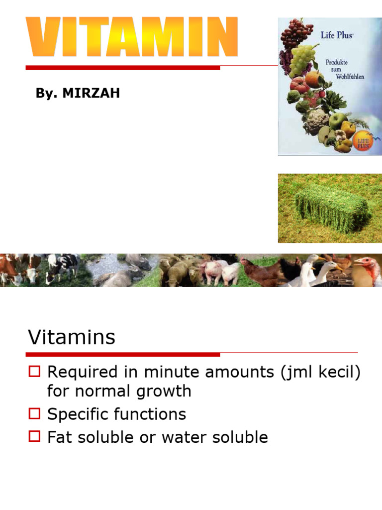 K5 - Vitamin | PDF