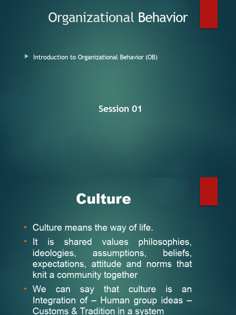 Organizational Behavior Chapter# 1 | PDF | Psychology | Organizational Culture