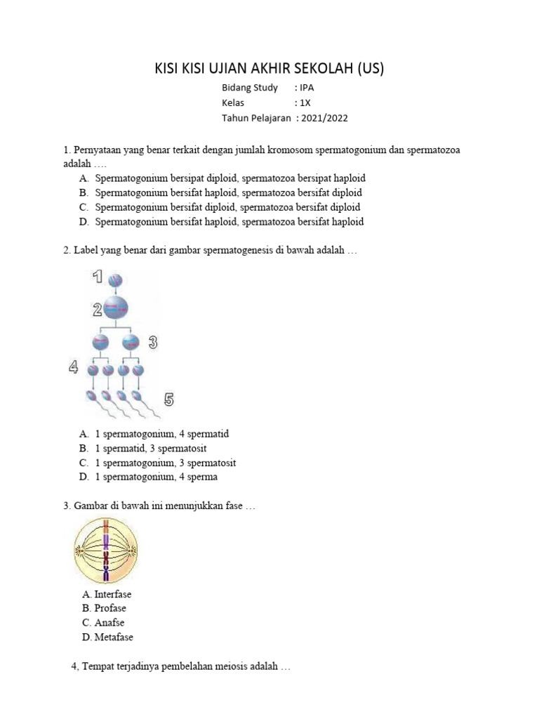Soal Ujian Akhir Sekolah | PDF