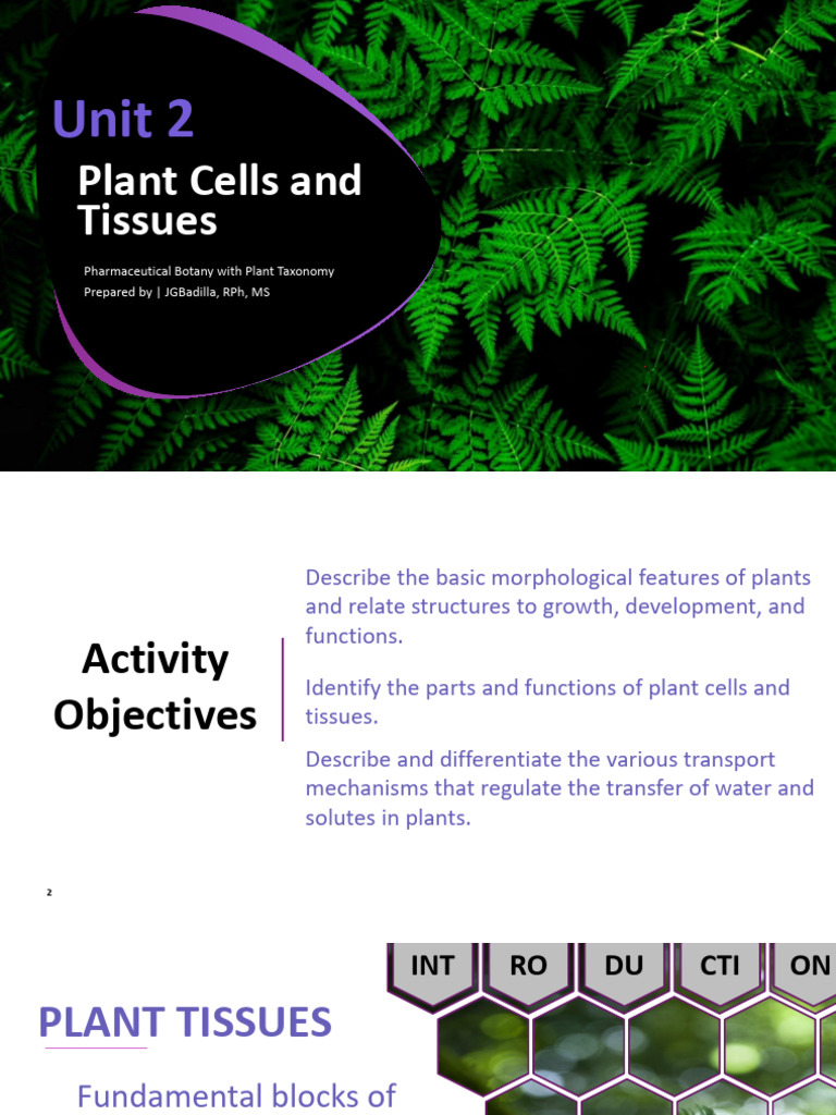 Unit 2_Tissues and Transport Mechanisms | PDF | Tissue (Biology) | Cell ...