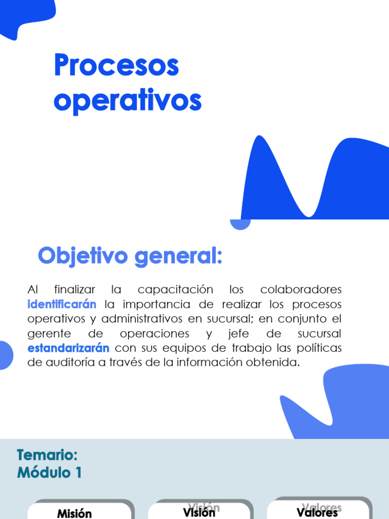 Procesos Operativos (1) 1 | PDF | Business | Industrias de servicio