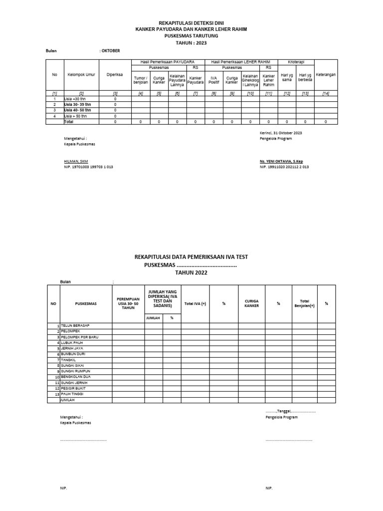 Form Laporan IVA Tes-2 | PDF