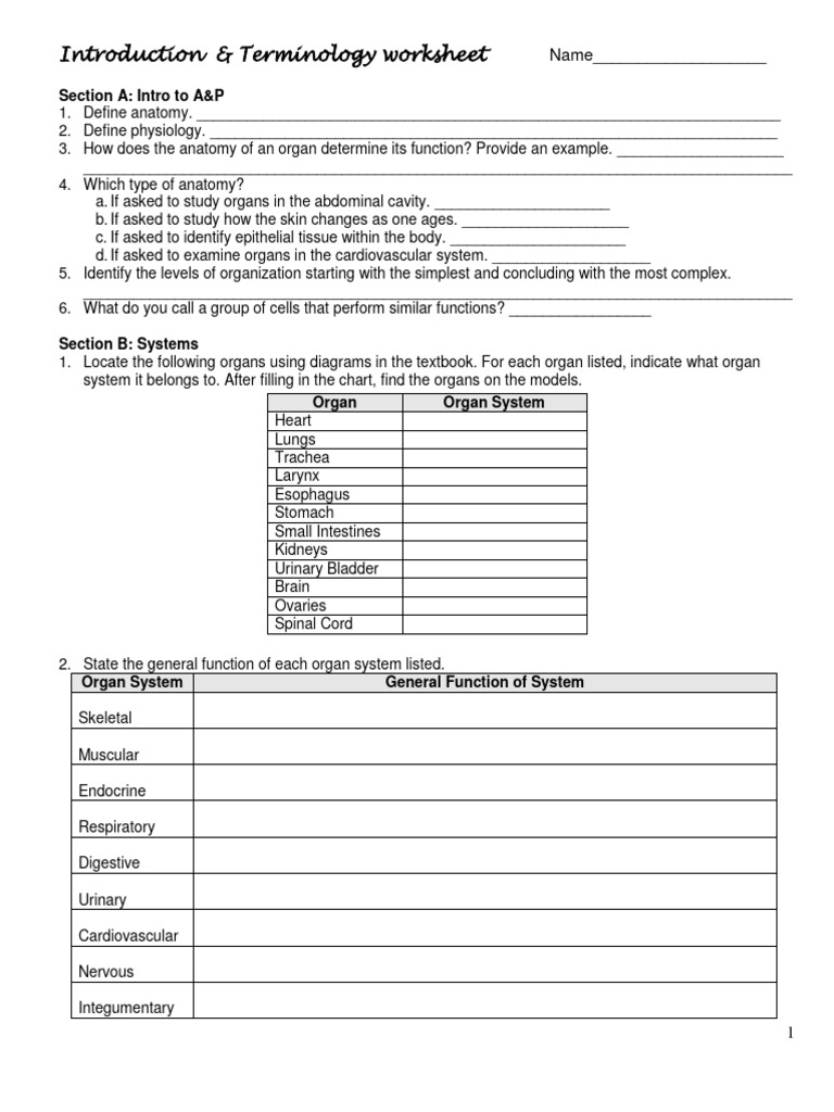 Intro and Terminology Worksheet | PDF | Anatomical Terms Of Location ...