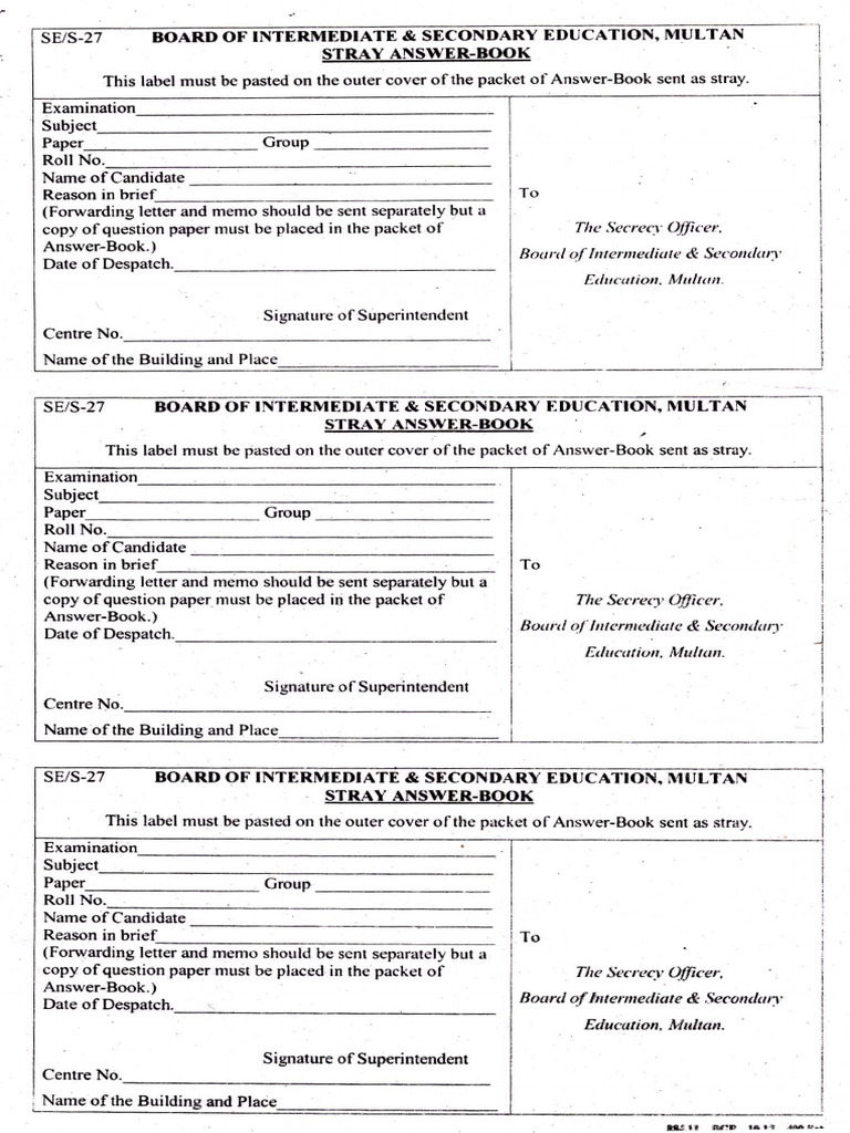 SE S 27 Stray Case | PDF