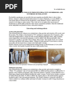 API 650 RF Pad Calculation PDF | PDF | Building Materials | Materials