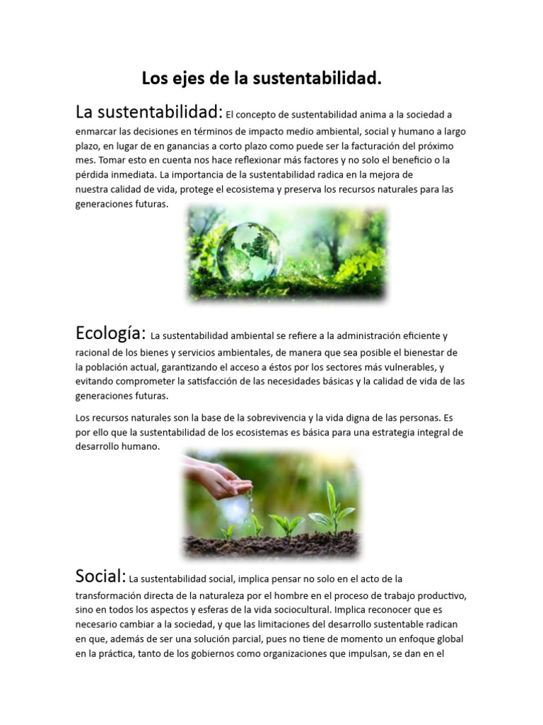 Los Ejes de La Sustentabilidad | PDF | Sustentabilidad | Desarrollo sostenible
