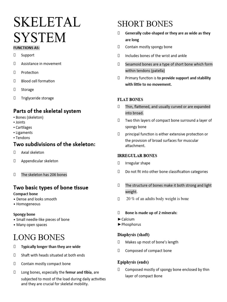 Skeletal System | PDF | Vertebra | Skull