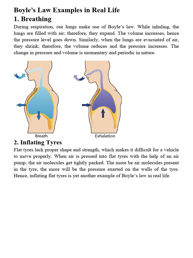 Examples | PDF | Diesel Engine | Internal Combustion Engine