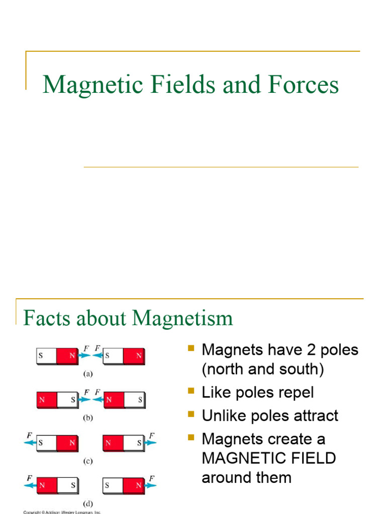 Magnetic Fields and Forces | PDF | Magnetic Field | Mass Spectrometry