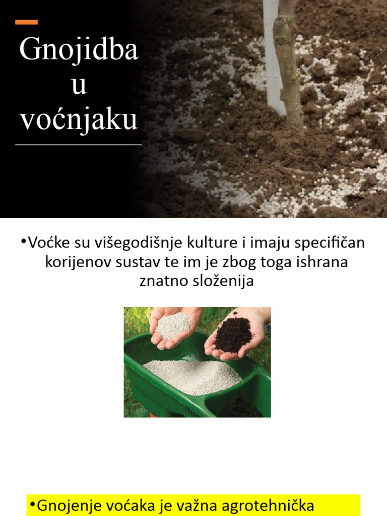 Gnojidba U Voćnjaku | PDF