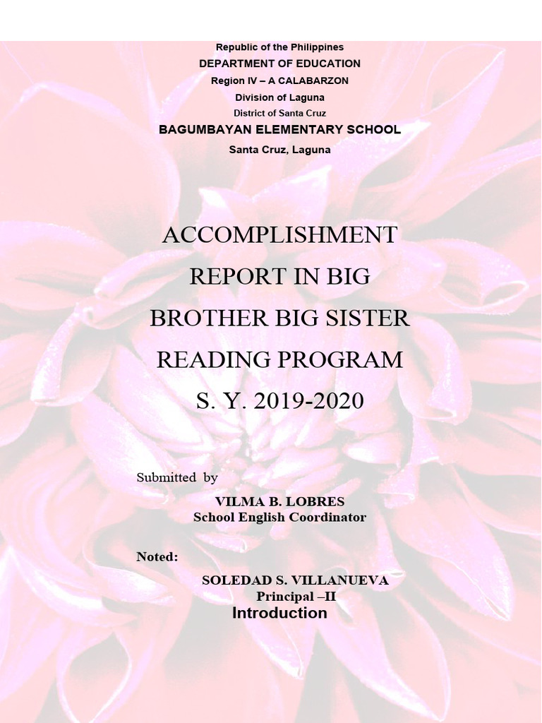 Big Brother Big Sister Reading Report | PDF | Teachers | Educational ...