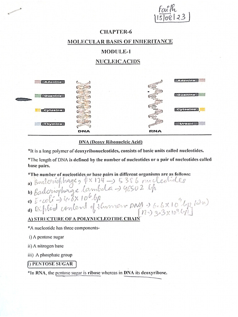 Molecular Bio - 1 | PDF