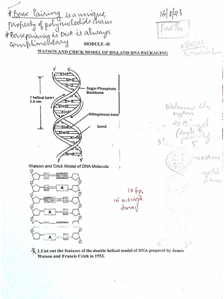 molecular bio - 2 | PDF
