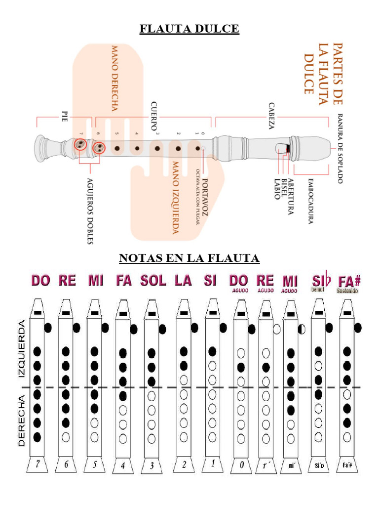Flauta Dulce | PDF