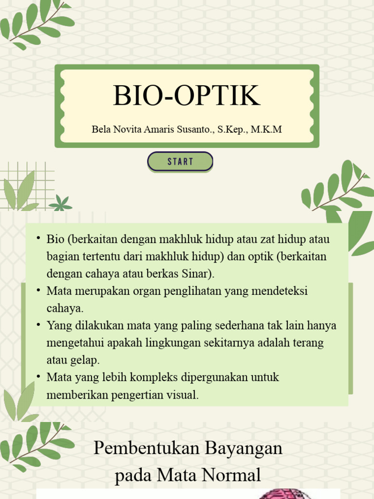 Pertemuan 3 - Bio Optik | PDF